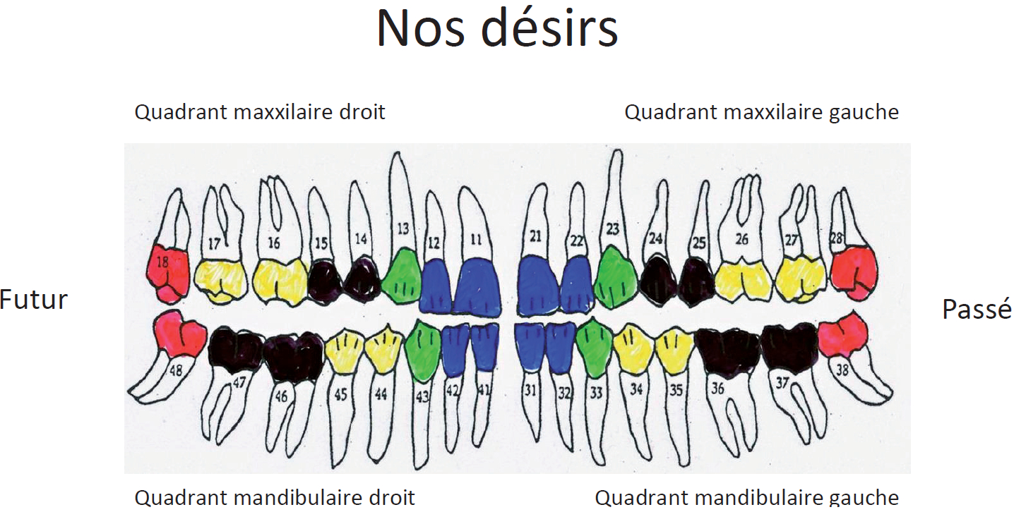 Ce que nos dents disent de nous — Partie I